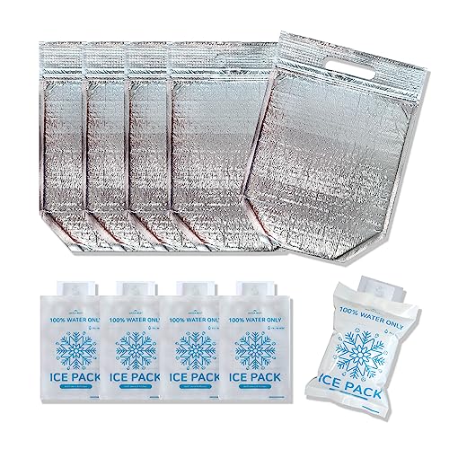 Insulated Lunch Bag with Zip Lock & Handle, Reusable Cool & Thermal Bags, Cooler Pouch, Hot & Cold, Ideal for Sandwich, Snack, Drink, Grocery, Camping (Medium_5 bags 9.8 x 11.0 inches + 5 Ice packs)
