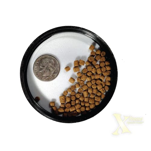 Xtreme Aquatic Fish Food - Nutritionally Balanced Professional Formula - Balanced Amino Acid Profile and No Hormones - Made in USA β Big Fella Slow Sinking 3mm Pellets (2.8 oz)