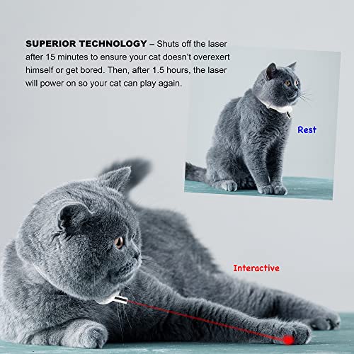 Laser Cat Toy Collar β 2 Adjustable Modes β 15 Minute Standby Shut Off β Rechargeable Micro-USB β Fits Cats and Kittens 200mm to 310mm Neck by Redeye Goods (LM2201)