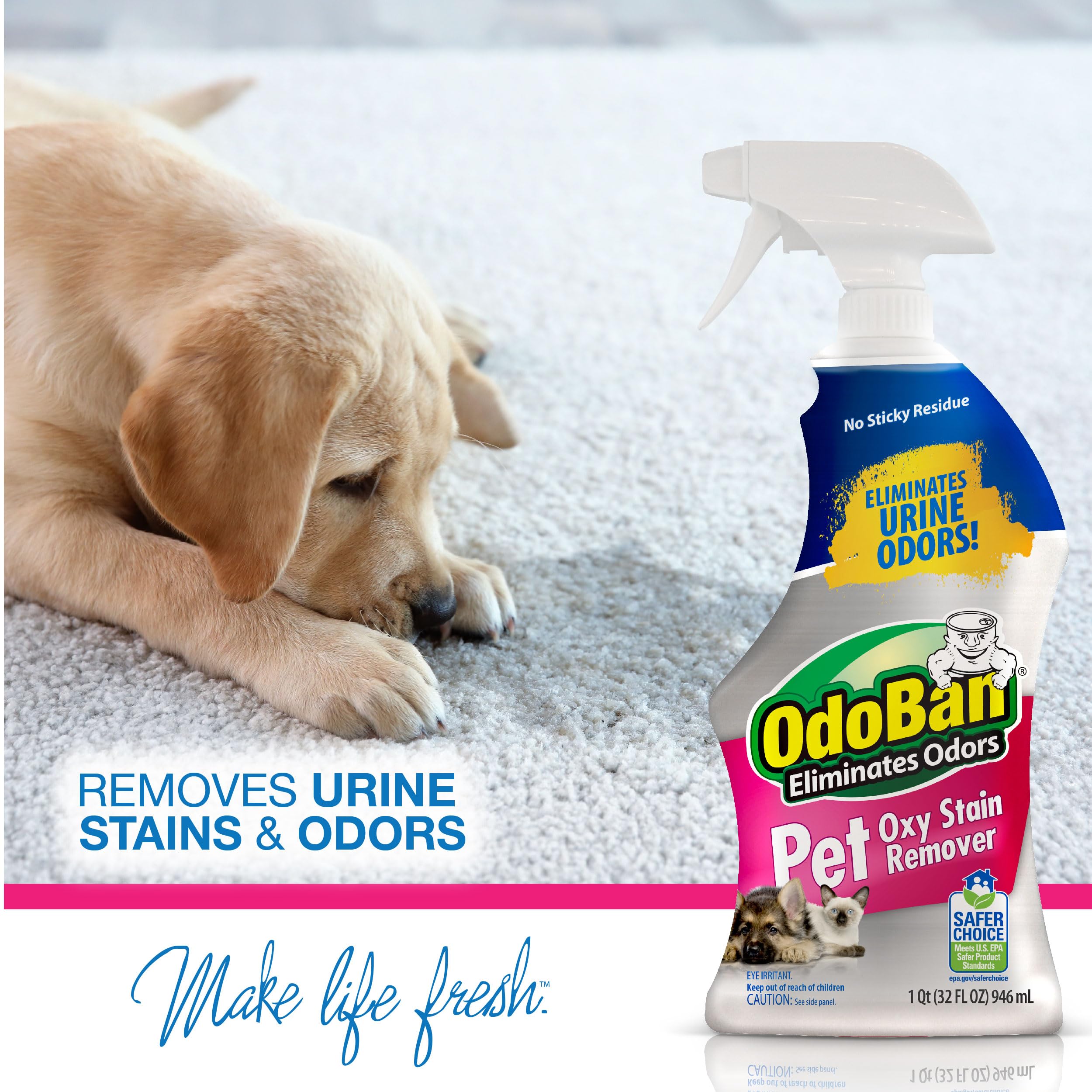 OdoBan Pet Solutions Oxy Stain Remover, Pet Stain Eliminator, 32 Ounce Spray