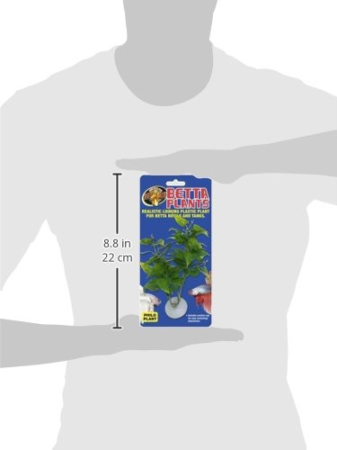 Zoo Med Laboratories AZMBP20 Betta Plant Philo
