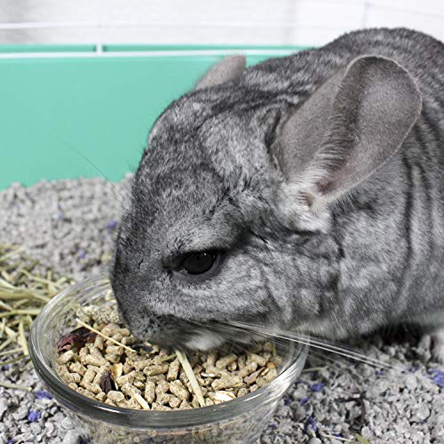 Sunseed 49130 Vita Prima Sunscription Chinchilla Food - High Fiber Timothy Formula, 3 LBS