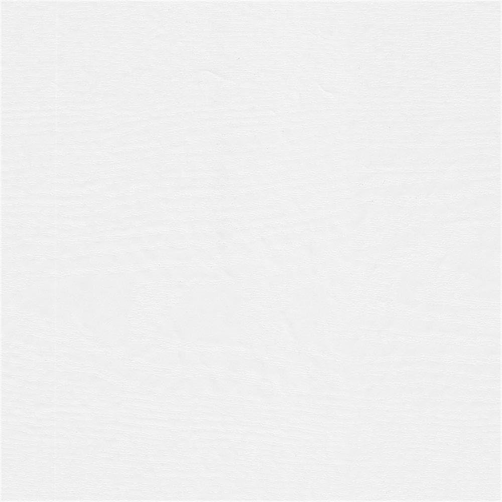 Bush Furniture Westbrook 60W Computer Desk with Hutch and Storage in White Ash | Farmhouse Desk for Home Office Workspace