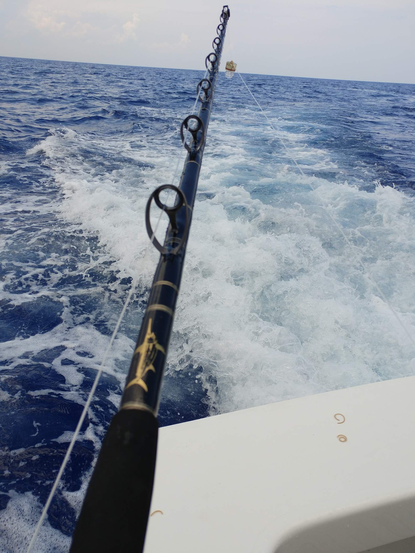 Blackfin Rods Fin #89 - Fast Action Stand Up- 100% E-Glass Blanks, Handcrafted in The USA- Perfect for trolling Small Lures and j-Hooks