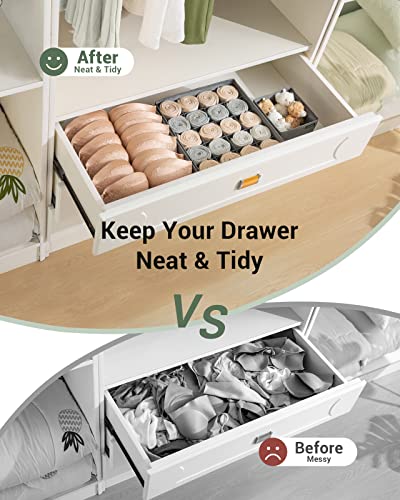HogarTech Underwear Bra Orgainzer for Drawer, Sturdy Construction with Double Zippers, Durable Oxford Cloth, Removable Base Board Drawer Organizer for Sock, Clothing, Bra, 3 Pack, Grey