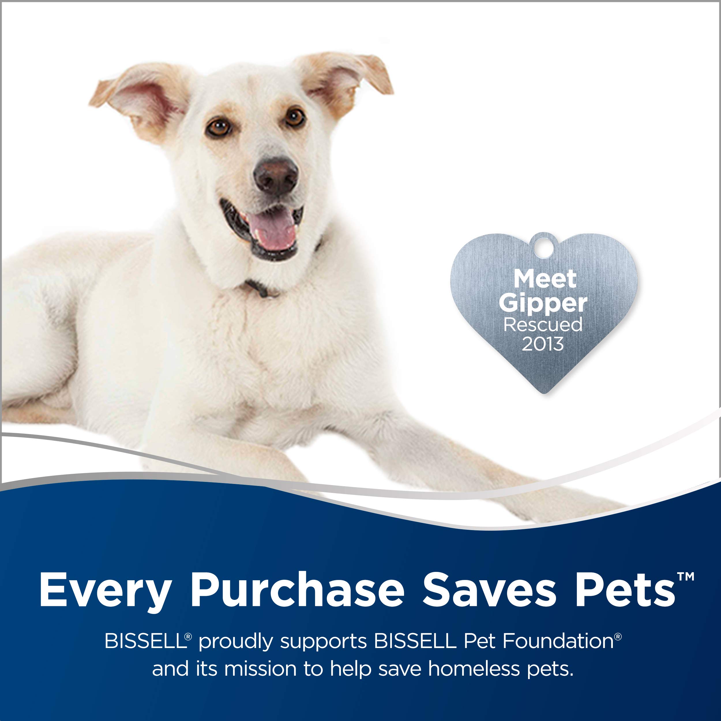Bissell Pet Stain Eraser Cordless Portable Carpet Cleaner, and car/auto detailer, 2019 Version, 20037