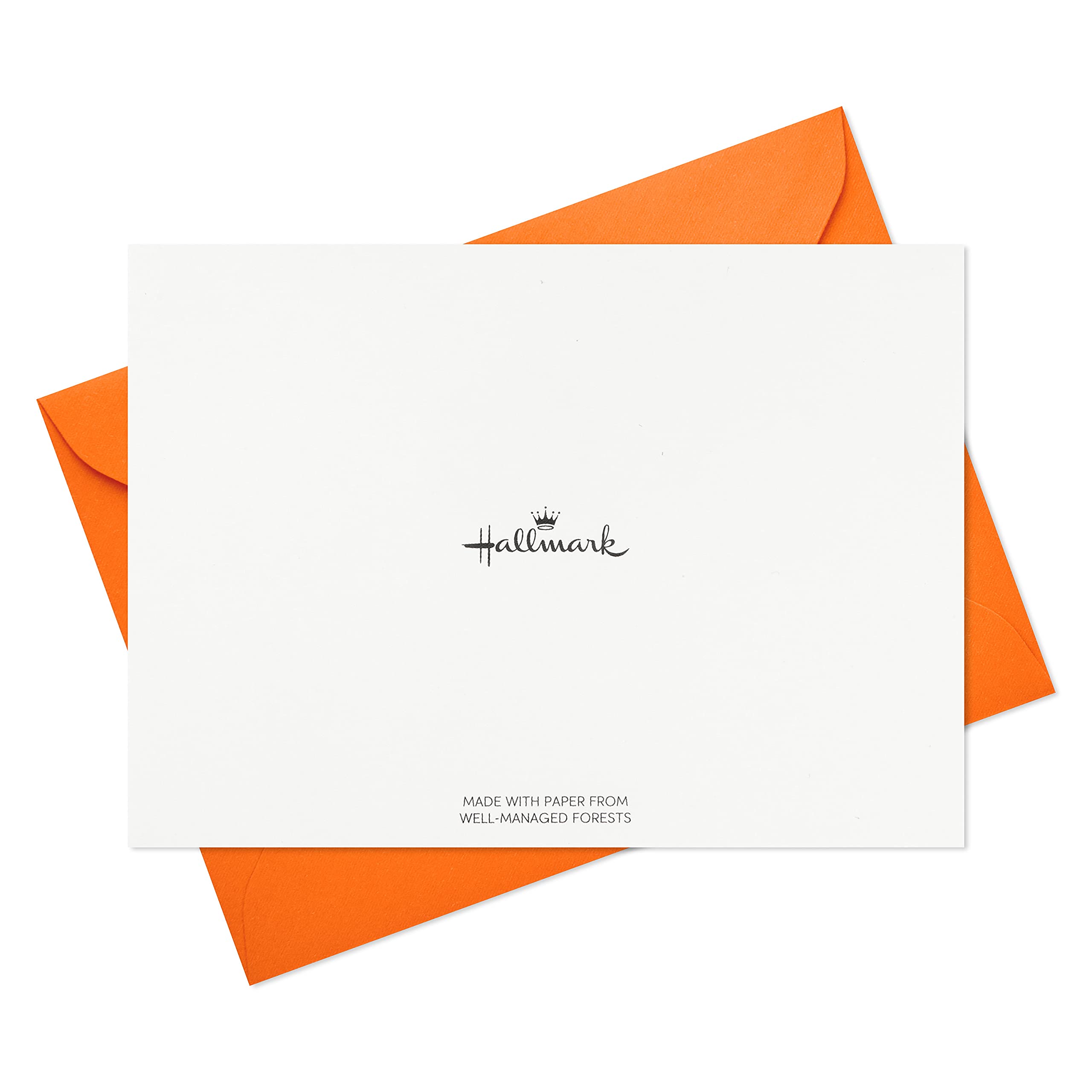 Hallmark Blank Cards Assortment, Modern Doodles (48 Cards with Envelopes) for Graduation, Just Because, All Occasion