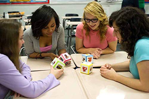 Teacher's Discovery Erasable Cool Cubes