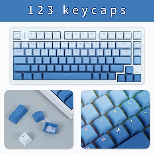 JOLINTAL 123 Keys Gradient Blue Keycaps, PBT Double Shot Dying Positive Engraved Translucent Keycaps, Ocean OEM Profile Keycaps for Mechanical Keyboard Gaming Keyboards