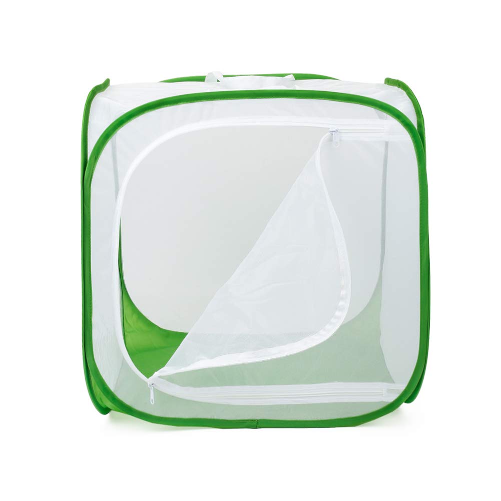 Big Cube Insect and Butterfly Habitat Cage Terrarium Pop-up 20 X 20 X 20 Inches