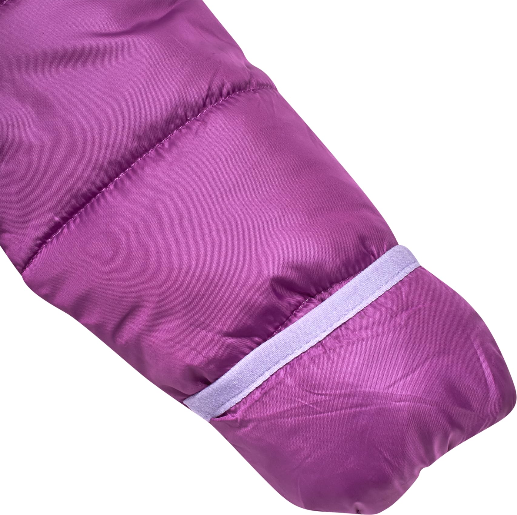 Pink Platinum Baby Girls' One-Piece Puffer Winter Snowsuit with Hood (Newborn & Infant), Size 18/24M, Plum