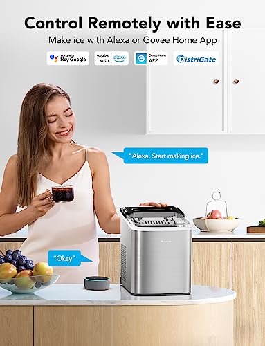GoveeLife Smart Countertop Ice Makers, Self-Cleaning, Portable Ice Maker Works with Alexa, 9 Cubes Ready in 6min, 26lbs/24H, for Home Kitchen Party Camping, With Ice Scoop Ice Basket Stainless Silver