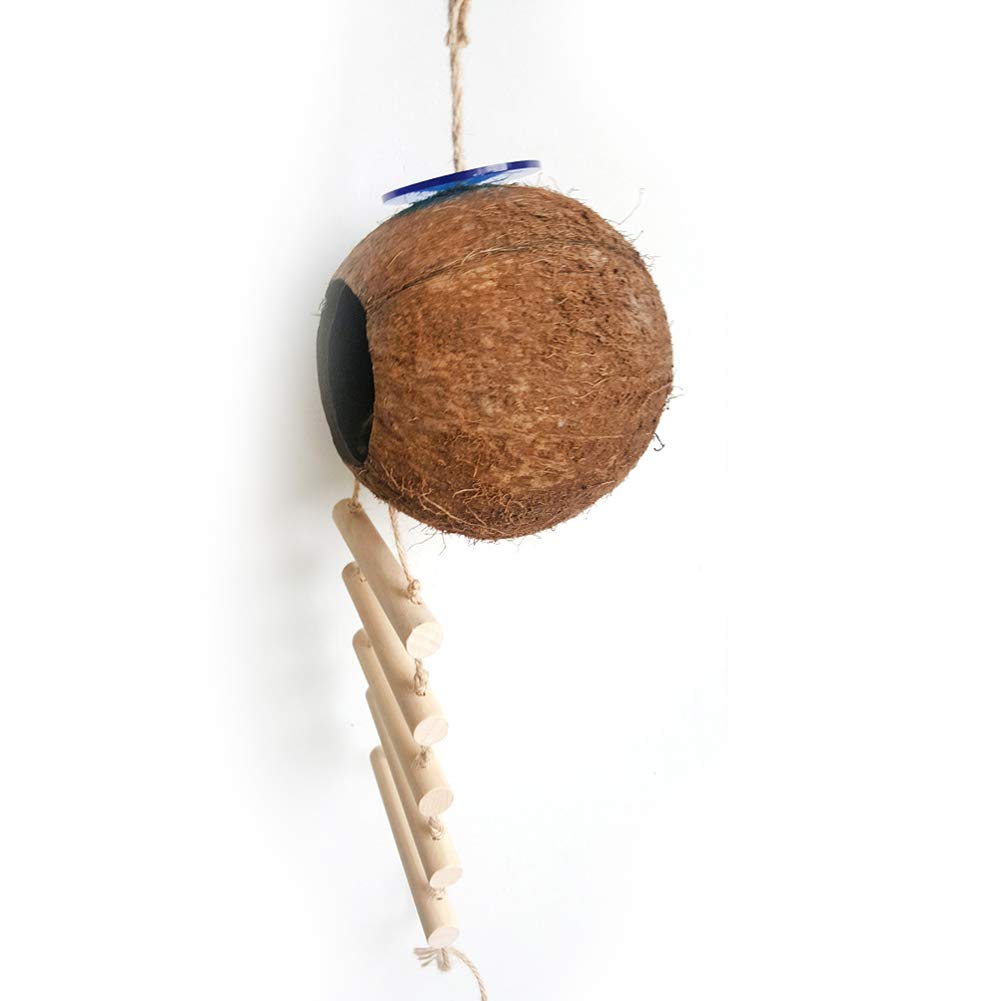 Bluelanss Bird House with Ladder - Beautiful Nesting Home and Bird Feeder - Natural Textures Encourage Foot and Beak Exercise - Natural Coconut Husk - Sustainable Materials - Durable Habitat C