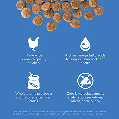 Go! Solutions Skin + Coat Care, Dry Dog Food, Chicken Recipe with Grains, 3.5 lb Bag