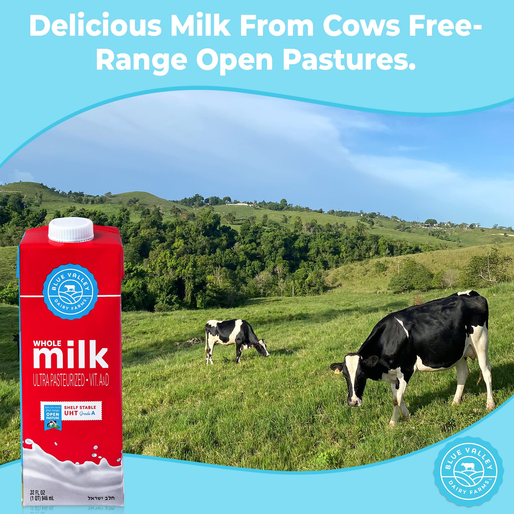 Blue Valley Whole Milk, Open Pasture, Shelf Stable, Cholov Yisroel (32oz)