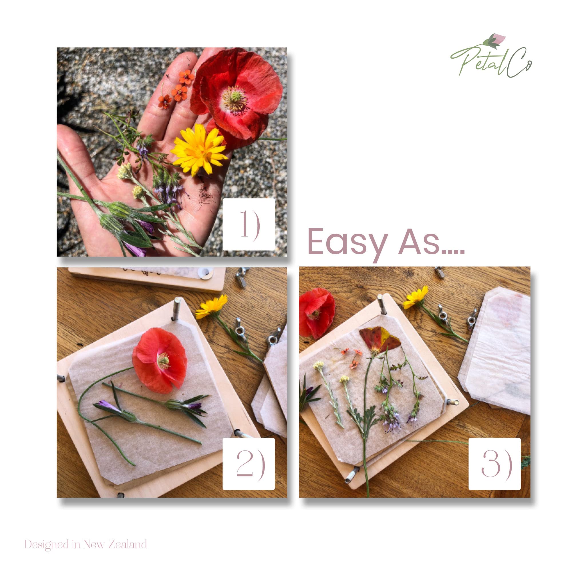 Petal Co Wooden Flower Press 7inch x 7inch with Frame for pressed flowers and leaves including Ultimate Guide to Flower Pressing
