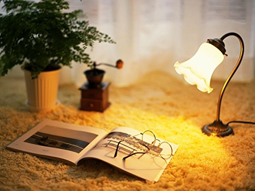 Bioluz LED 60 Watt LED Light Bulb (Uses 9 Watts) A19 LED Light Bulbs See Series Non Dimmable Warm White (2700K) Light Bulb 6-Pack