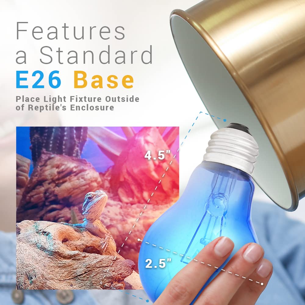 Bluex Bulbs 4 Pack A19 Day Blue & Red Night Reptile Heat Bulb Combo Pack 60W - Terrarium Light & Heat Source Replicates Day Night Environment Promotes Natural Behavior Reptile Day and Night Heat Lamp