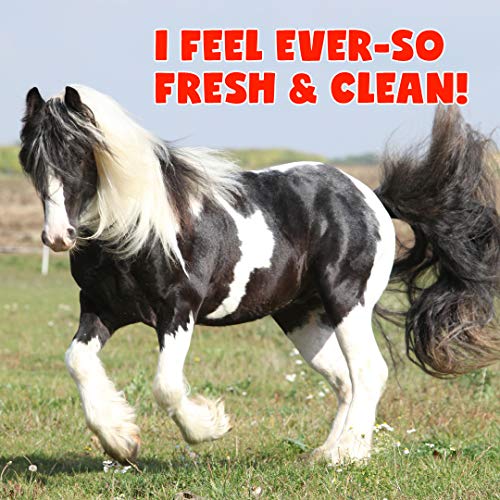 The Blissful Dog Horses Simply Clean Sheath Butter All Natural Cleansing for Your Horse, 4-Ounce