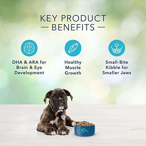 Blue Buffalo Freedom Grain Free Natural Puppy Dry Dog Food, Chicken 24-lb