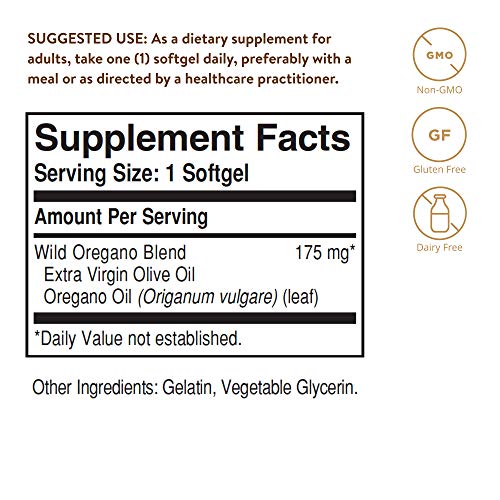 Solgar Wild Oregano Oil, 60 Softgels - Oregano Oil Concentrate - Immune Support - Includes Natural Antioxidant Phytochemicals - Non GMO, Gluten Free, Dairy Free - 60 Servings