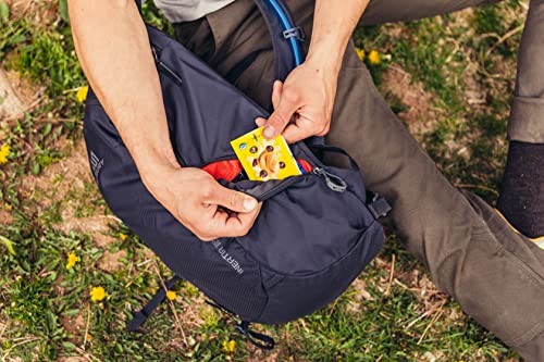Gregory Mountain Products Inertia 18 H2O Hydration Backpack,Brick Red,One Size
