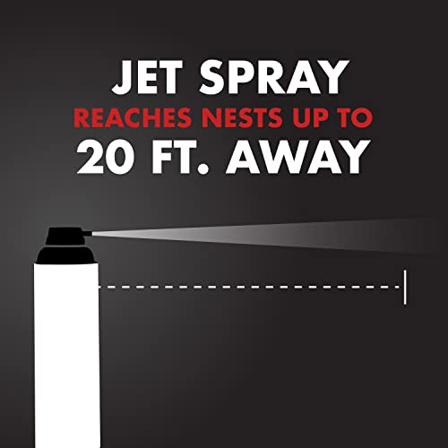 Spectracide PRO Wasp & Hornet Killer (Aerosol)(18 oz), Pack of 1, White Can