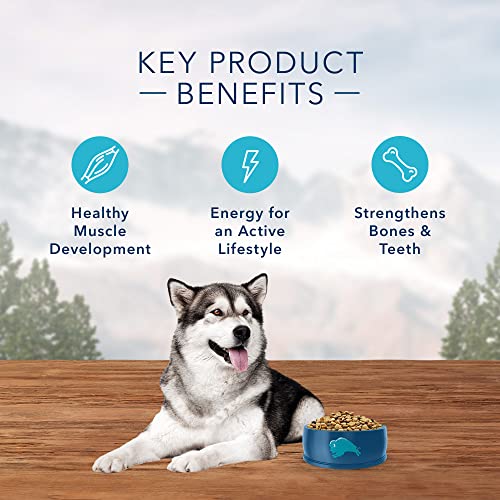 Blue Buffalo Wilderness High Protein, Natural Adult Dry Dog Food, Duck 11-lb