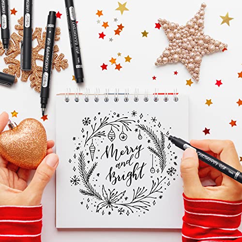 PANDAFLY Calligraphy Pens, 10 Size Calligraphy Pens for Writing, Brush Pens Calligraphy Set for Beginners, Hand Lettering Pens, Brush Markers Set, Black Ink Drawing Pens