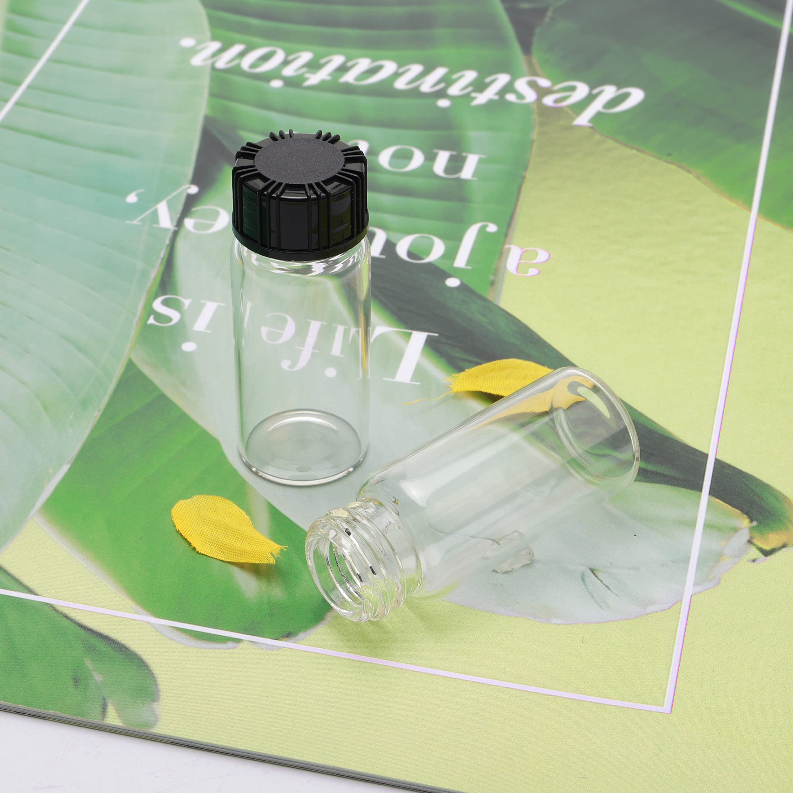 Clear Glass Vials 10ml Empty Vials Bottles Liquid Sampling Sample Glass Bottles Screwcap Capacity 10ml (0.3 Oz) Pack of 10
