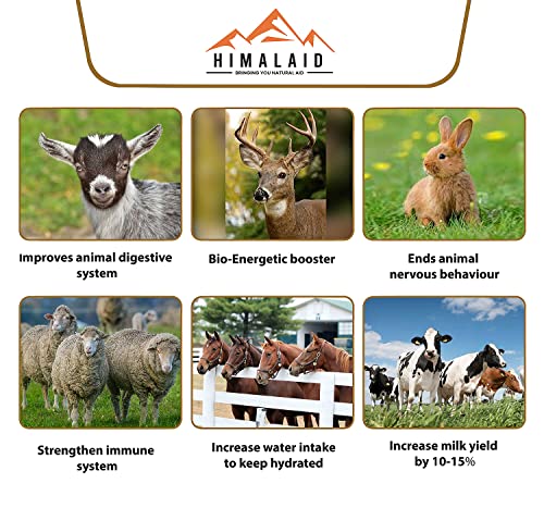 Himalaid Himalayan Salt Lick on Rope for Horses, Cattles, and Other Livestock, 6 LBS Each (3 Pack)