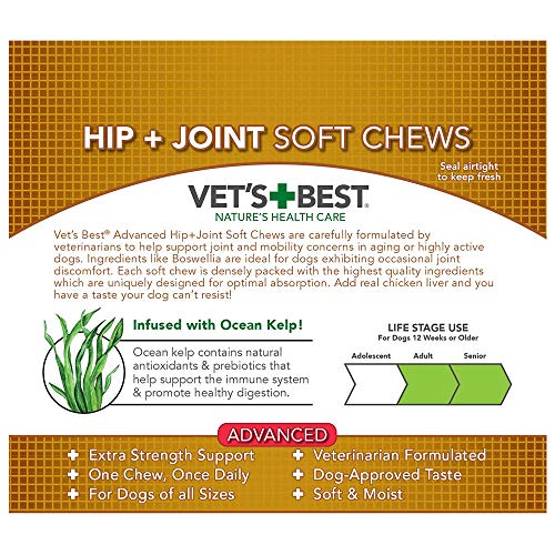 Vet's Best Hip & Joint Soft Chew Dog Supplements | Formulated with Glucosamine & Chondroitin to Support Dog Joint & Cartilage Health | 30 Day Supply