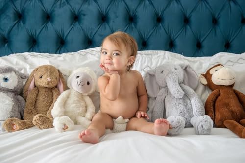 MBHB Digital Voice Recorder Stuffed Animal w/20 Second Recorder, Capture Baby's Heartbeat During Pregnancy + Ultrasound for Baby Showers, Registry, Birthdays, New Mom Gift, Bunny