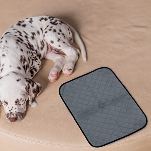 Guinea Pig Bedding 2pcs Hamster Bedding Washable Pee Pads Super Absorbent Pet Mat Small Animal Sleep Cushion Chinchilla Cage Accessories for Small Animals Supplies