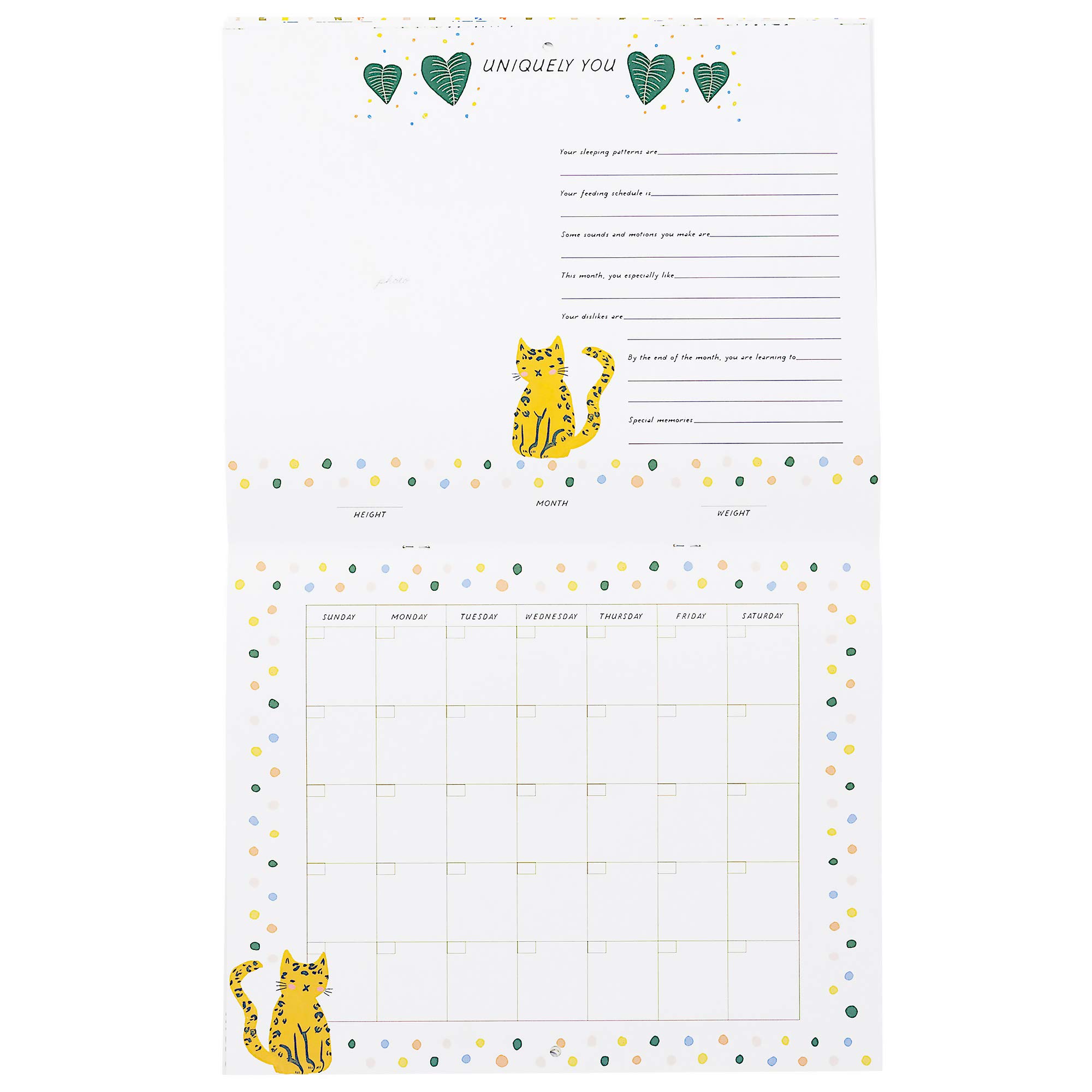 C.R. Gibson BA3-22583 Cute Elephants ''Wild About You'' Gender Neutral First Year Baby Calendar, 11'' W x 18'' H