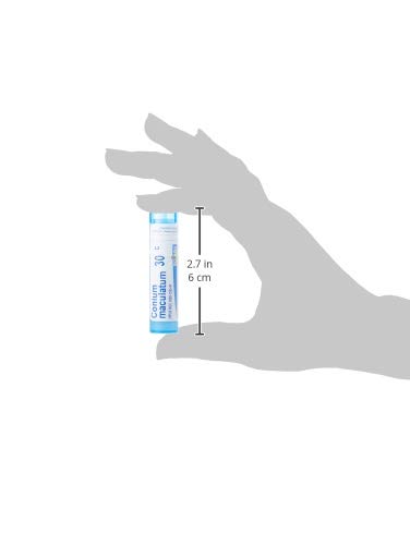BOIRON USA - Conium Maculatum 30c [Health and Beauty]