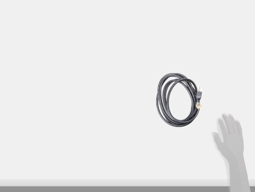 Tripp Lite Heavy Duty Computer Power Cord, 15A, 14AWG (NEMA 5-15P to IEC-320-C13), 10-ft. (P007-010) , Black