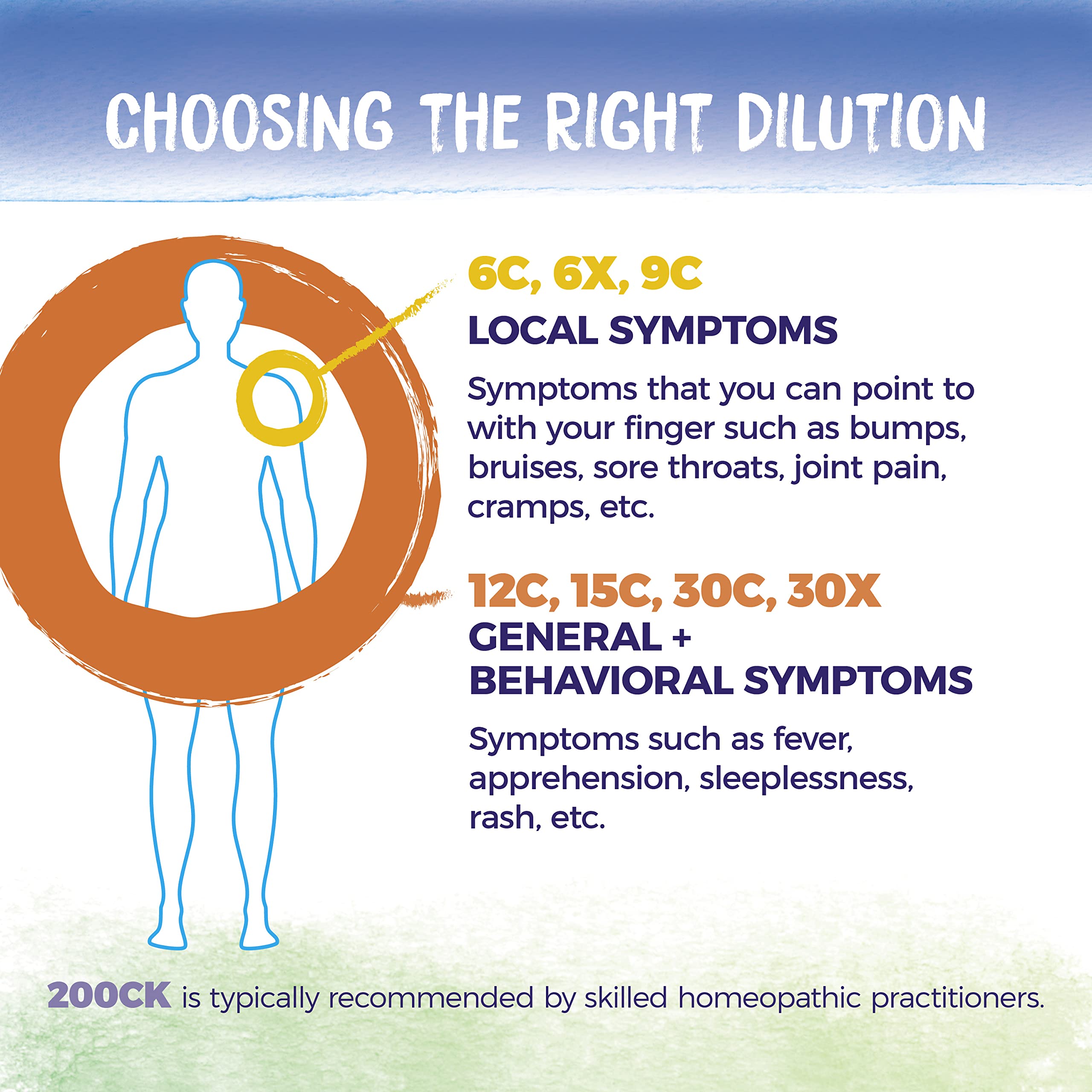 Boiron Arum Triphyllum 9C Md 80 Pellets for Hoarseness with Broken Voice