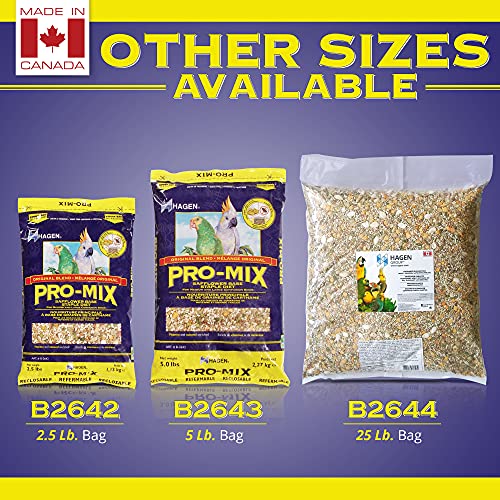 Parrot Vme Pro-Mix Seed, 2-1/2-Pound