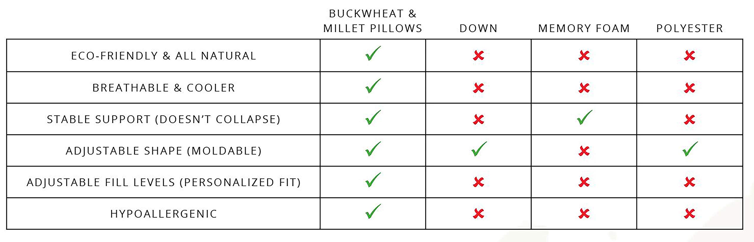 Bucky 100% Buckwheat Filled Pillow Collection, Standard, 23x15", Natural