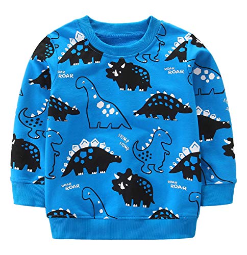BTGIXSF Little Boys Cotton Crewneck Cartoon Long Sleeve Pullover Sweatshirt 167 4T