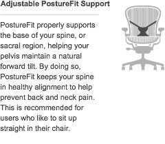 Herman Miller Classic Aeron Task Chair: Tilt Limiter w/Seat Angle Adj - PostureFit Support - Fully Adj Vinyl Arms - Hard Floor Casters