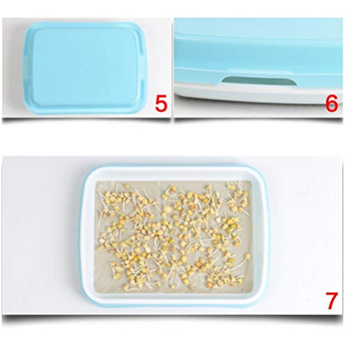 Happyyami Seed Growing Tray Multifunctional Broccoli Wheatgrass Alfalfa Seed Sprouting Soilless Culture Tray Double Layer Germination Planter with Paper for Home Sky Blue
