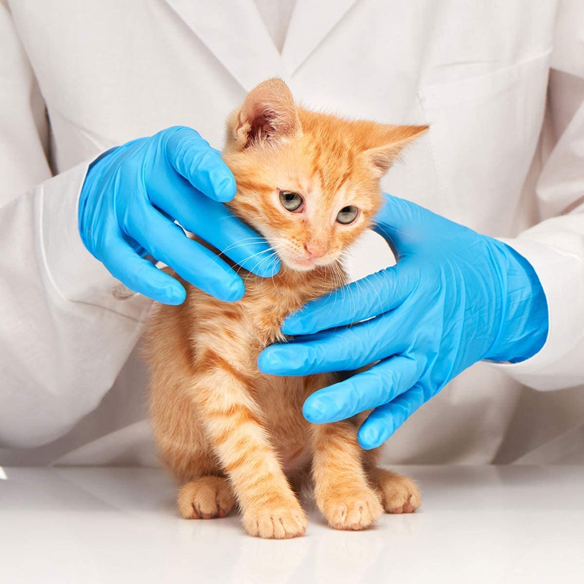 Basic Medical Blue Nitrile Exam Gloves - Latex-Free & Powder-Free - NGPF-7001(Case of 1,000), Small