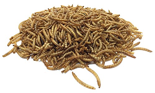 Pecking Order Dried Mealworms, 30 oz