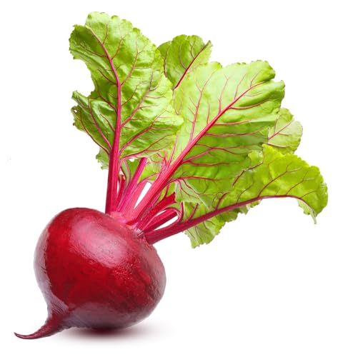Beet Seeds for Planting - Non-GMO Heirloom Seed Packets with Instructions to Plant & Grow an Outdoor Vegetable Garden - Great Gardening Gift - 50 Ruby Queen Beet Seeds Per Packet (1 Packet)