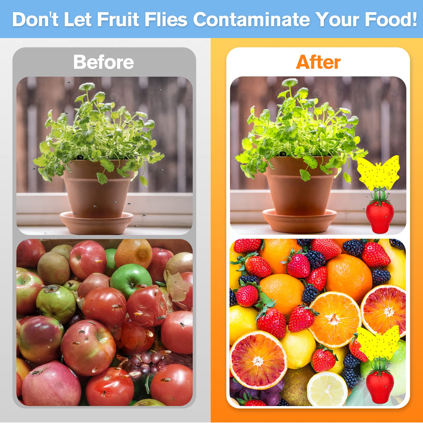 Fruit Fly Traps for Indoors, Gnat Killer Pet&People Safe, Effective Easy Use Fruit Flies Catcher for Mosquitoes, Gnats, Moths, Durable Flies Hunter with Sticky for Home Plants Kitchen 2P