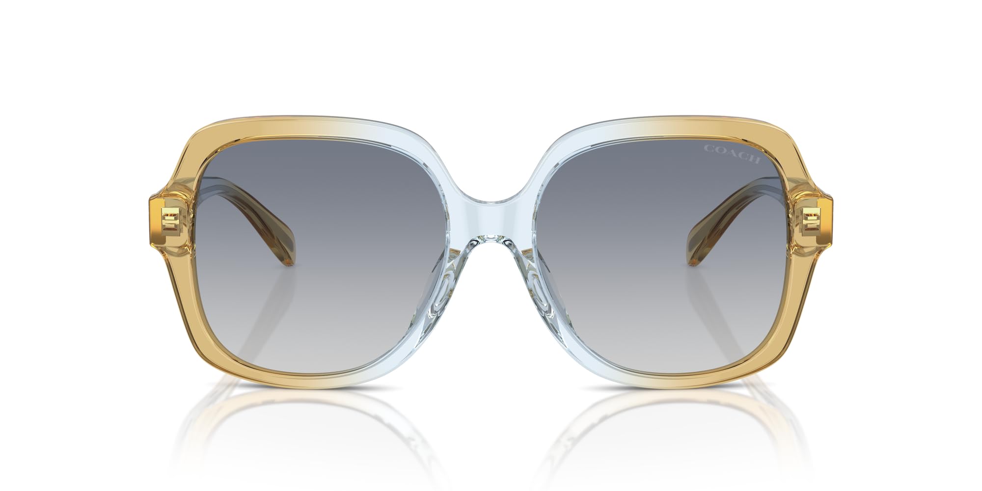COACH Women's HC8395F Low Bridge Fit Square Sunglasses, Cider/Baby Blue/Blue Gradient, 56 mm