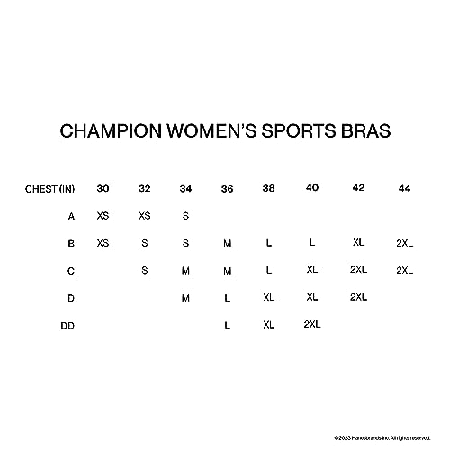 Champion Women's Authentic Sports Bra, Black Wave Script, XX-Large