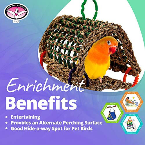 Super Bird Creations SB881 Seagrass Tent, Small/Medium Bird Size, 8β x 7β x 8β
